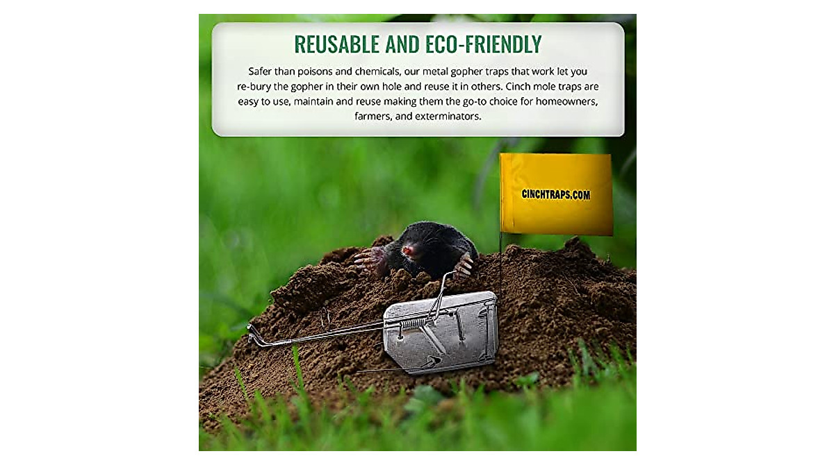 Cinch Mole Trap with Tunnel Marking Flag -Heavy-Duty, Reusable Trapping ...