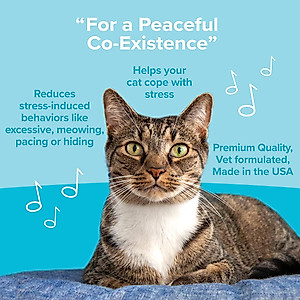 Okoa Pet “Chill, Kitty Kitty” Hemp Calming Supplement for Cats - Cat Anxiety Support Soft Chews for Reduced Stress, Thunder, Travel, & Separation - Salmon Flavor Hemp Treats - Vet Formulated, USA Made
