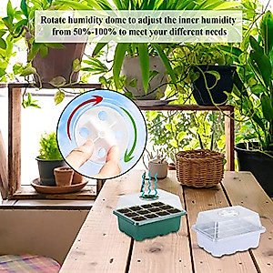 Evanda 12 Packs Seed Starter Tray Seedling Kits, Organic Germination Plant Starter Trays, with Lids Humidity Adjustable, for Greenhouse Grow Germination Seeds Growing Starting