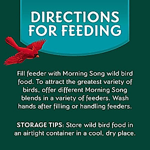 Morning Song Clean & Free Shell Free Wild Bird Food, Premium No Mess Bird Seed for Outside Feeders, 10-Pound Bag