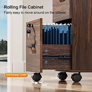 VINGLI 2 Drawer File Cabinet with Lock, Wood Dark Brown File Cabinet for Letter Size File Folders with Tabs, Under Desk Rolling File Cabinets for Home Office, Mobile Filing Cabinet Printer Stand