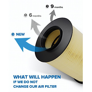 PHILTOP Engine Air Filter CA11114 Replacement for Ford Escape, Focus, Transit Connect & Lincoln MKC, 2012-2019