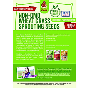 Pampered Chicken Mama Non-GMO Wheat Seeds for Sprouting Fodder 3 pounds