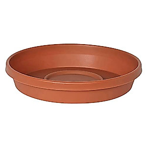 Bloem Terra Pot Round Drain Saucer: 16" - Terra Cotta - Tray for Planters 11-16", Matte Finish, Durable Resin, Ribbed Bottom, for Indoor and Outdoor Use, Gardening, Planter Not Included
