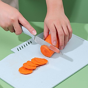 Small Plastic Cutting Board With Knife, Reusable Plastic Utility Cutting Board Multifunctional Portable Fruit Chopping Board with Knife Organizer & Hanging Hole for Kitchen Countertop(blue)