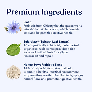 Honest Paws Probiotics for Dogs & Dog Multivitamin - Glucosamine Chondroitin for Joint Health - Allergies, Immunity, Gut Health - Digestive and Skin & Coat Support