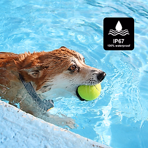 Bousnic Dog Training Collar 2 Dogs Upgraded 1000ft Remote Rechargeable Waterproof Electric Shock Collar with Beep Vibration Shock for Small Medium Large Dogs (15lbs - 120lbs)