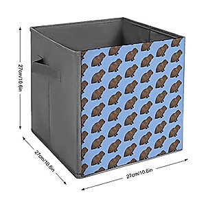 Cute Capybara Collapsible Storage Bins Basics Folding Fabric Storage Cubes Organizer Boxes with Handles