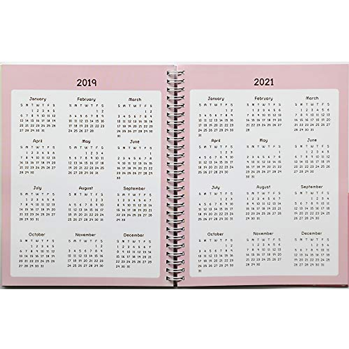 Pusheen 2019-2020 Weekly/Monthly Planner Calendar