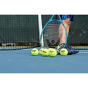 HEAD Speed Kids Tennis Racquet - Beginners Pre-Strung Head Light Balance Jr Racket , Frustration Free Packaging - 25 Inch, Blue