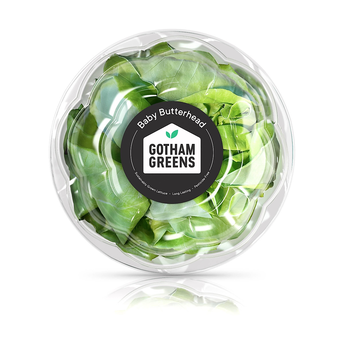 Gotham Greens Baby Butterhead, 1 Each