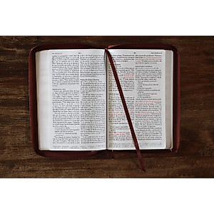 Biblia Reina Valera 1960 letra grande. Símil piel canela, cremallera, tamaño manual / Spanish Bible RVR 1960. Handy Size, Large Print, Leathersoft, Brown Zip