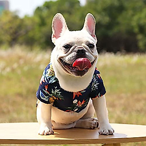Pet Summer T Shirts Hawaii Style Floral Dog Shirt Hawaiian Printed Pet T Shirts Breathable Cool Clothes Beach Seaside Puppy Shirt Dog Sweaters for Small Dogs Boy Under 10