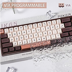 Feker IK65 VIA Programmable 2.4G/BT5.0/USB-C Mechanical Keyboard, 65% Hot Swappable Gasket-Mounted, with Sound Dampening Foams Kit, Volume-Control Knob, 4000mAh Battery, RGB for Win/Mac (Brown Knob)