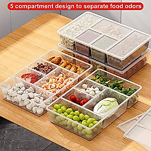 Taiuloo 2 Pack Divided Veggie Tray with Lid, 5 Compartment Snackle Box Container for Fridge, Clear Refrigerator Organizer Bins Plastic Food Storage Containers for Snack, Fruit, Vegetable, Salad, Meat