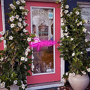 MOLCOVEX LED Neon Open Sign, 15"x 7.3" Business Open Sign with Remote, Adjustable Brightness Open Neon Lights for Restaurant Bar Salon Stores Hotel Wall Decor Light Open Sign (Pink)