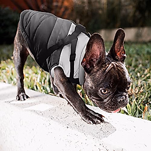 NASKEE Warm Dog Winter Coat Cozy Waterproof Windproof Dog Outdoor Jacket, Adjustable Pet Vest with Harness & D Rings, Thick Polar Fleece Lining, for Small & Medium Dogs