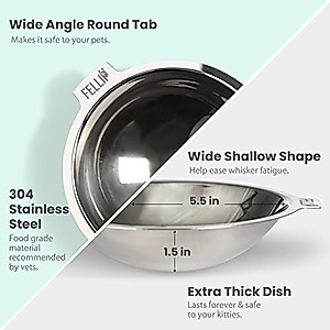 Felli Pet Oblik Whisker Fatigue Friendly Raised Cat Food Bowl Stainless Steel, Anti Vomiting Tilted Shallow Dish Easy Clean, Slanted Flat Metal Feeder Elevated Angled Spill Proof (0.5Cups, Classic)