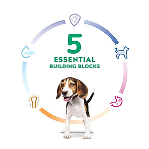 Hill's Science Diet Puppy, Puppy Premium Nutrition, Dry Dog Food, Chicken & Brown Rice, 15.5 lb Bag