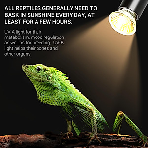 CALPALMY 4-Pack 25W UVA+UVB Reptile Heat Bulbs - Heat and Light for Reptiles and Amphibian Tanks, Terrariums and Cages - Works with Turtle Lizard Various Amphibian Terrarium Heat Lamp Fixtures