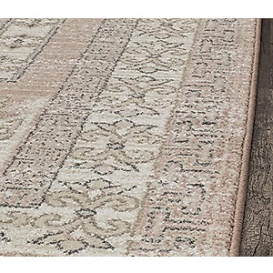 Rugs America Harper HY40A Carnation Transitional Vintage Area Rug, 5'x7'