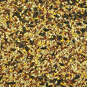 Kaytee Wild Bird Food Basic Blend, 10 lb