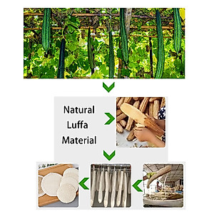 Natural Loofah Pads, Face Exfoliator Pad Scrubber Handheld Luffa Pad Sponges Suitable for Bathing, Showering, spa Facial Cleansing Available for Men and Women (2pcs)