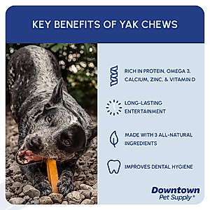 Downtown Pet Supply Yak Cheese Himalayan Dog Chews - Large Yak Chews Rich in Nutrients for Medium to Large Dogs - Long Lasting, Odorless and Easy to Digest Cheese Dog Treats - 1 LB