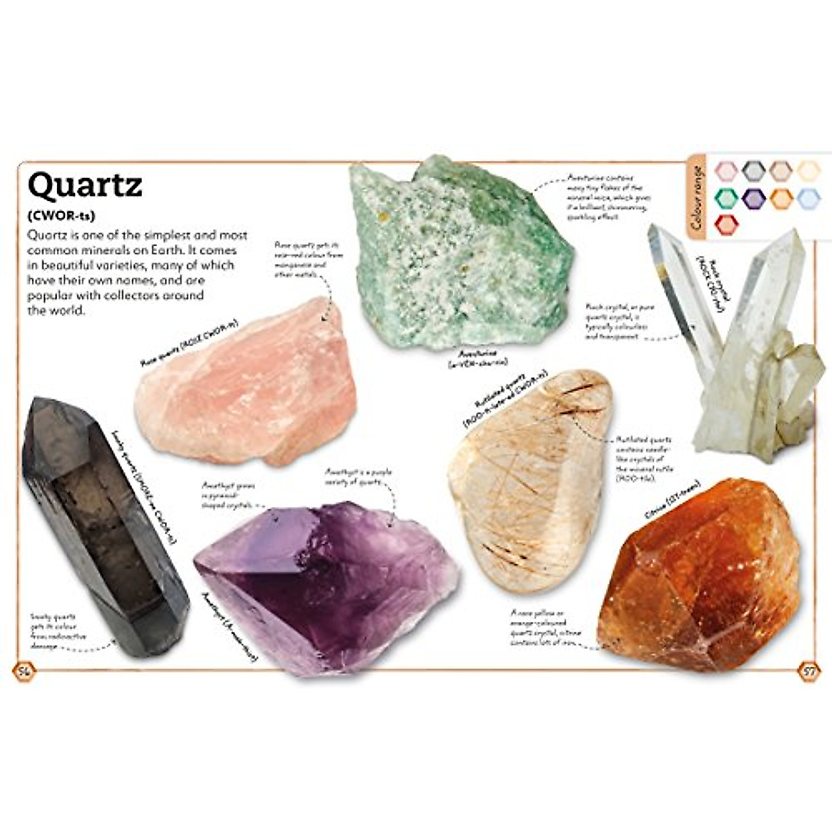My Book of Rocks and Minerals: Things to Find, Collect, and Treasure