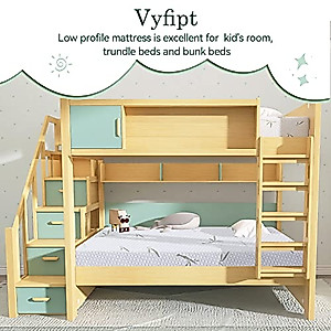 Vyfipt 6 Inch Green Tea Mattress, Bamboo Cover Medium Firm Memory Foam, Twin