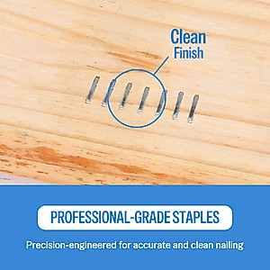 meite 20 Gauge 1/2-Inch (12.3mm) Crown 9/16-Inch Length Upholstery Staples for Staple Gun, Fine Wire Galvanized Staples for Carpet, Work Box, Cable, Shed (5,000 Pieces)