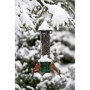 Squirrel Buster Plus Squirrel-proof Bird Feeder w/Cardinal Ring and 6 Feeding Ports, 5.1-pound Seed Capacity, Adjustable, Pole-mountable (POLE ADAPTOR SOLD SEPARATELY), Green