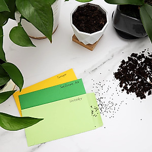 100 Pack Colorful Cash Envelopes 6.7x3.5 Fit for 100 Envelope Money Saving Challenge, Large Money Envelopes for Cash, Budgeting, Check, Coin, Tickets, Jewelry, small items & collectables