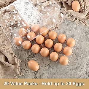 YAYODS 20 Pack Egg Cartons Cheap Bulk, Reusable Plastic Egg Cartons for Chicken Eggs, Holds up to 30 Eggs, Clear Empty Reusable Egg Carton for Home Ranch Chicken Farm, Business Market Display