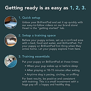 BrilliantPad Self-Cleaning, Automatic Indoor Dog Potty for Puppies and Small Dogs | Original Roll w/Plastic Rod & Caps Incl (Original 2.0 Machine w/Drip Lip, Gray)