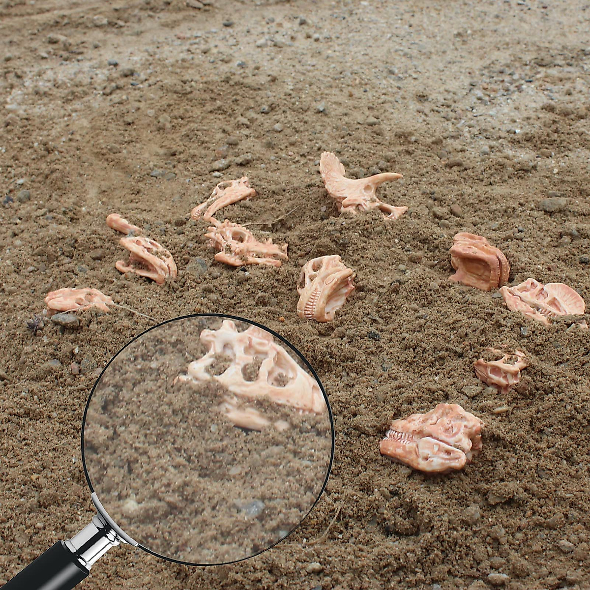 LC JoyCre Mini Dinosaur Bones for Sandbox Kids Toys Realistic Fake Dinosaur Bones for Kids Toys Dinosaur Bones for Kids to Dig Up