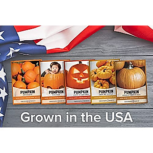 Pumpkin Seeds to Plant - 5 Variety Baby Boo, Giant Big Max, Jack Be Little, Jack O Lantern, Sugar Pie, Great for Pumpkin Seed for Summer, Fall, Pumpkin Seeds for Planting by Gardeners Basics
