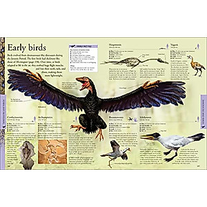 Dinosaurs: A Visual Encyclopedia, 2nd Edition (DK Children's Visual Encyclopedias)