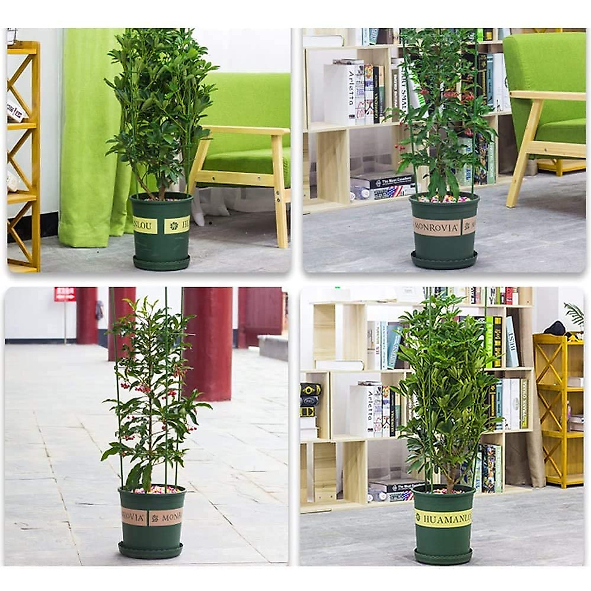 Plant Support Cages, Plant Support Stake, Metal Ring Garden Plant Stake, Gardening Plant Trellie, Green Plant Support Ring, Plant Cage, Plant Support for Tomato, Rose, Vine