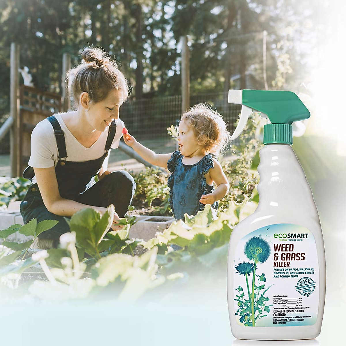 EcoSmart Natural, Glyphosate-Free Weed and Grass Killer Ready-to-Use Spray Formula for Lawns, Patios, Driveways and Pavers, 24 Ounce Bottle