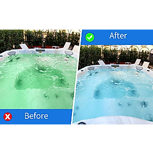 Sohalejr 2 Pcs Spa Mineral Stick Blue Cartridge Hot Tub Supplies and Accessories for 500 Gallon Hot tub