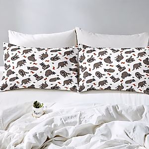 Feelyou Cute Raccoons Bedding Fitted Sheet Cartoon Raccoon Bed Sheet Set for Kids Boys Girls Lovely Fruits Leaves Decor Bedding Sheets Grey Animal Bed Cover with 2 Pillowcases 3Pcs Bedding Queen