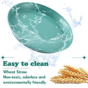 Gerrii 24 Pieces Whisker Fatigue Relief Cat Bowl 6 Inch Shallow Cat Food Dish Stray Dog Wet Feeding Bowls Wide and Small Pet Plates for Kittens and Short Legged Kittens, Wheat Straw(Elegant Color)