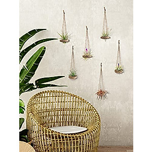 6 Pcs Hanging Wooden Air Plant Holder - 3" Round Wooden Air Plant Hanger with Jute Ropes, Rustic Air Plant Stand Tillandsia Succulent Display Container for Home Office Decor (Plants Not Included)