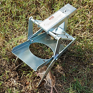 AMVOG Upgrade Mole Scissor Traps, EasySet Mole Traps That Kill, Reusable Gopher Traps for Lawns & Garden,2 Eliminator Traps