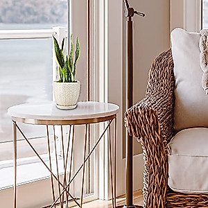 Oairse 4 inches Ceramic Planter Pots 3 Set of Small Round Flower Pots with Drainage Hole and Ceramic Tray for Succulents Cactus Indoor Outdoor Garden Home Windowsill