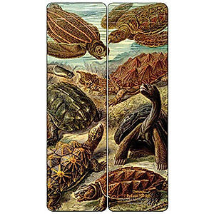 Creanoso Ernst Haeckel Bookmarks Series 2 (60-Pack) - Premium Quality Gift Ideas for Children, Teens, & Adults for All Occasions - Stocking Stuffers Party Favor & Giveaways