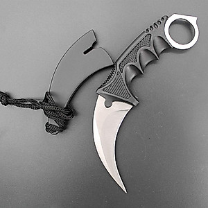WeTop Karambit Knife, CS-GO for Hunting Camping Fishing and Field Survival, Stainless Steel Fixed Blade Tactical Knife with Sheath and Cord (Silver).
