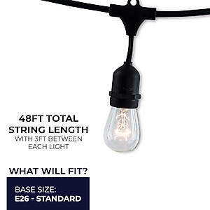 Bulbrite STRING15/E26-S14KT Outdoor, Garden, Patio, Wedding, Party, Holiday, Lawn, and Landscape String Light w/Incandescent Bulbs, 48-Feet, 15 Lights