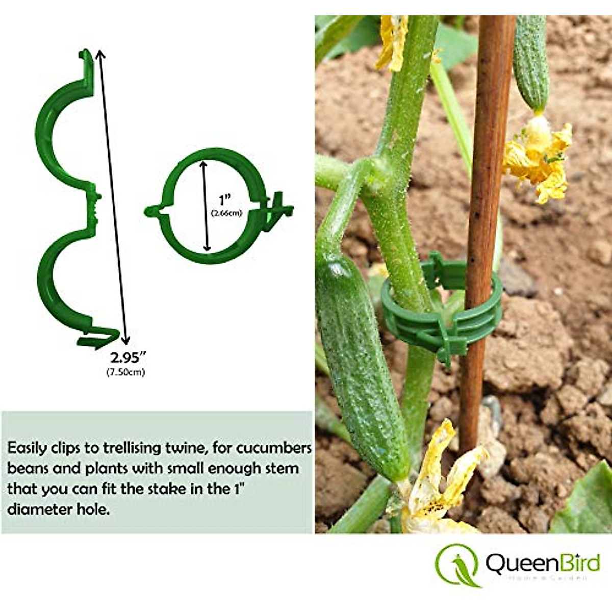 QueenBird Plant Clips - 200 PCS - Green - Garden Clips for Tomato and Other Vine Plants - Trellis Clips - Tomato Plant Support - Upright and Healthier Grow